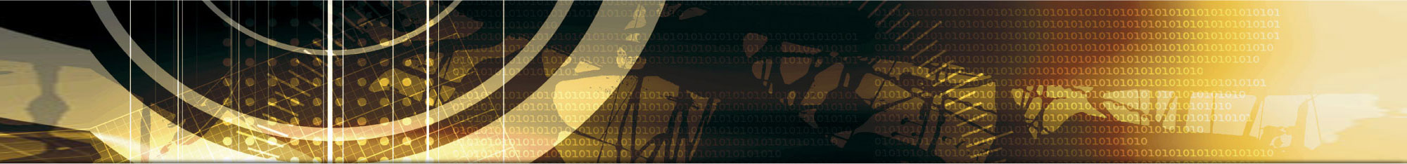 BSS - Bright Shipping Services